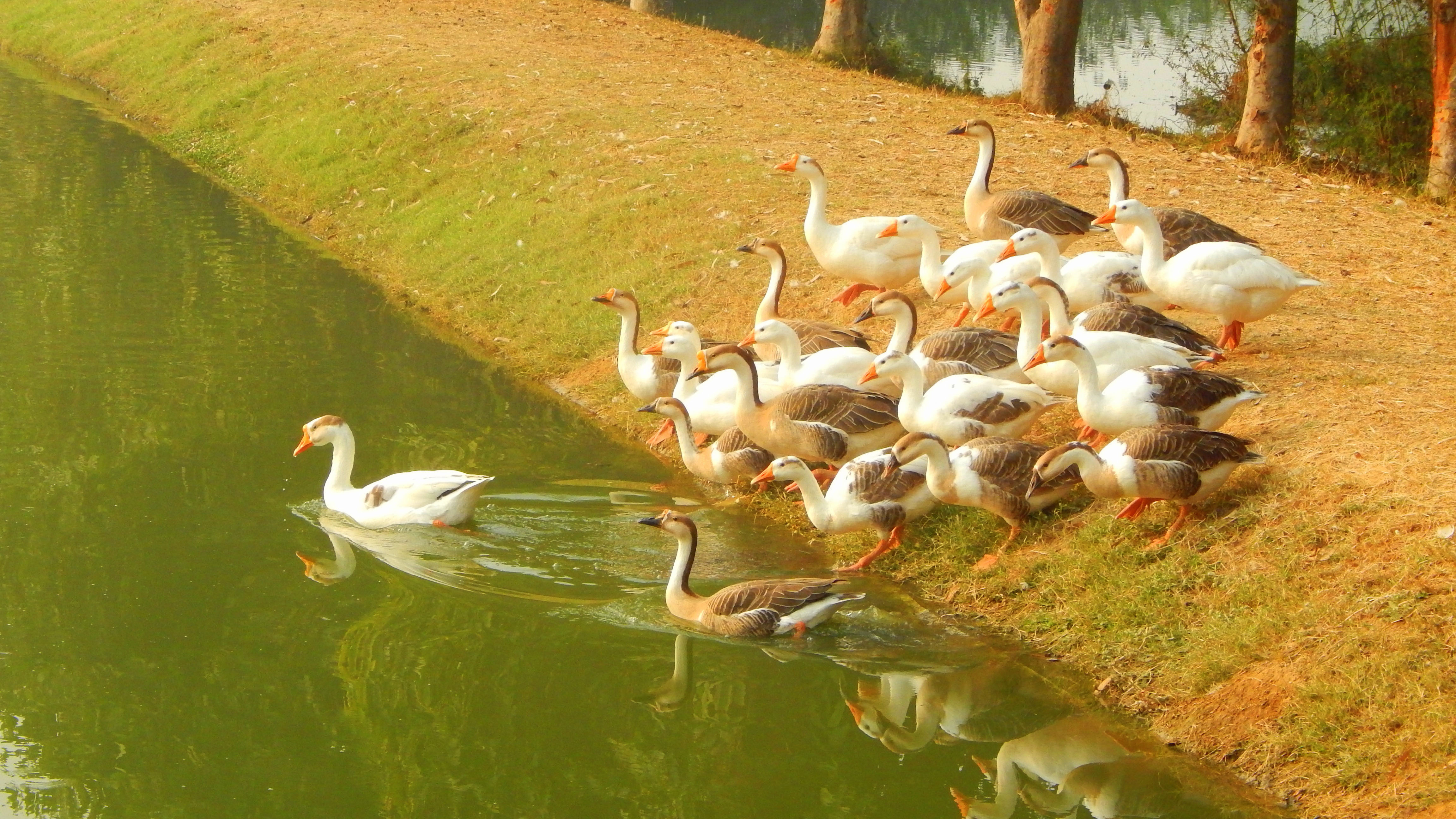 Training & Placement | Placement